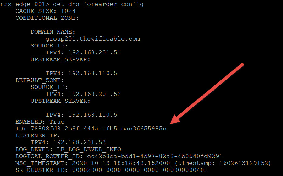 How to Configure DNS in NSX-T – The Wifi-Cable